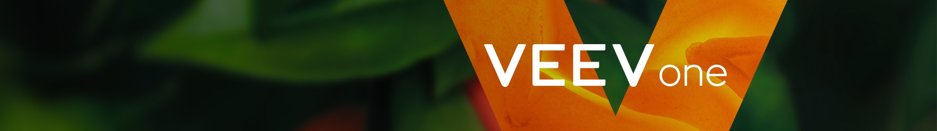 Buy VEEV ONE vape devices | Veev Indonesia